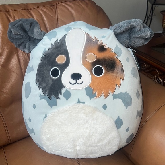 Squishmallows | Toys | Nwt Squishmallow Raylor The Australian Shepherd ...